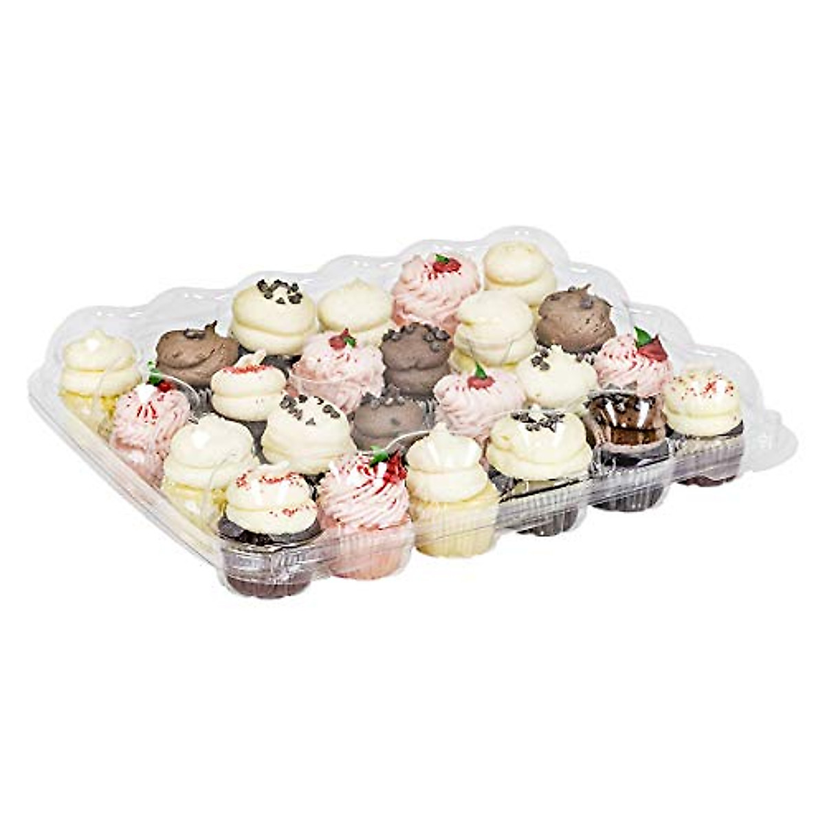 5 Cupcake Containers Plastic Disposable | Clear Mini Cupcake Boxes 24 Compartment Cupcake Holders Disposable Cupcake Carrier | 2 Dozen Cupcake Trays | Durable Cup Cake Muffin Packaging Transporter