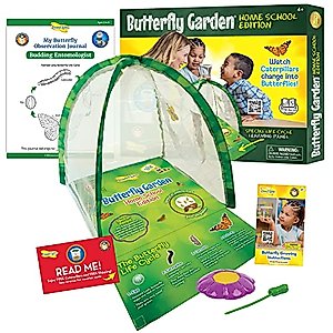 Insect Lore - Butterfly Growing Kit - Clear Front Facing Viewing Panel - Pre-Paid Voucher to Redeem Caterpillars Later – Life Science & STEM Education – Butterfly Science Kit