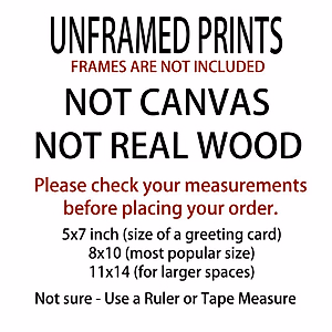 Baby Girl Nursery Wall Art Pink Floral Crown Safari Animals Elephant Giraffe Lion Zebra Decor 4 UNFRAMED PRINTS