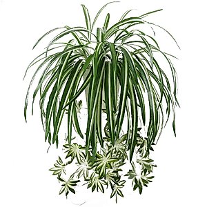 Artificial Chlorophytum Silk Flowers, Artificial Flowers Spider Plant Fake Greenery Faux Plant Hanging Basket Ivy Green Leaves Wall Hanging Plants for Home Garden Office Wedding Decoration