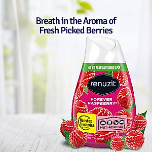 Renuzit Adjustable Solid Gel Air Freshener, Forever Raspberry, 12 Count