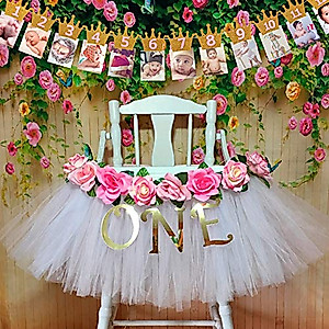 Symphony Birthday Photo Banner, 1st Birthday Baby Photo Banner Newborn to 12 Months Birthday Party Decor (Crown Golden Pink)