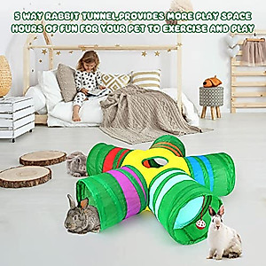 BWOGUE Cat Tunnels for Indoor Cats