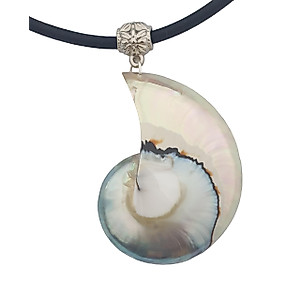 Swimmi Rare Natural Open Nautilus Shell Necklace, Hand Polished Pearly Nautilus Necklace for Women, Adjustable Cord Nautilus Mother of Pearl Necklace, Ursula Necklace Jewelry AA419-CR
