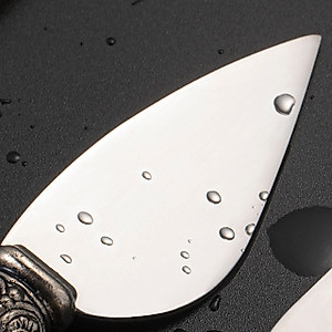 CATHYLIN 4-Pierce Cheese Knife Set For Charcuterie Board,Stainless Steel Cheese Knife Set With Acrylic Handle (Champagne,Gift Ready)