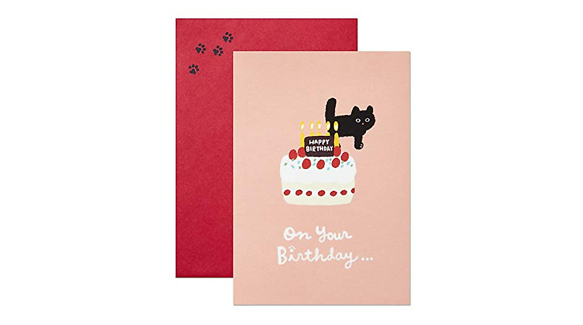 Hallmark Cat & Friend Pop Up Birthday Card - Cheerful & Unique
