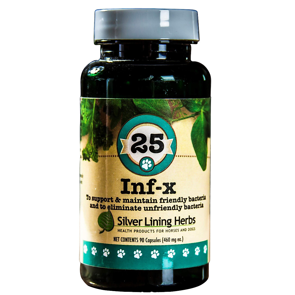 Silver Lining Herbs 25 Canine INF-X - Helps Maintain Healthy Digestion Levels - Natural Support for Normal Detoxification Process - Herbal Health Supplement for Dogs - 90 Capsules