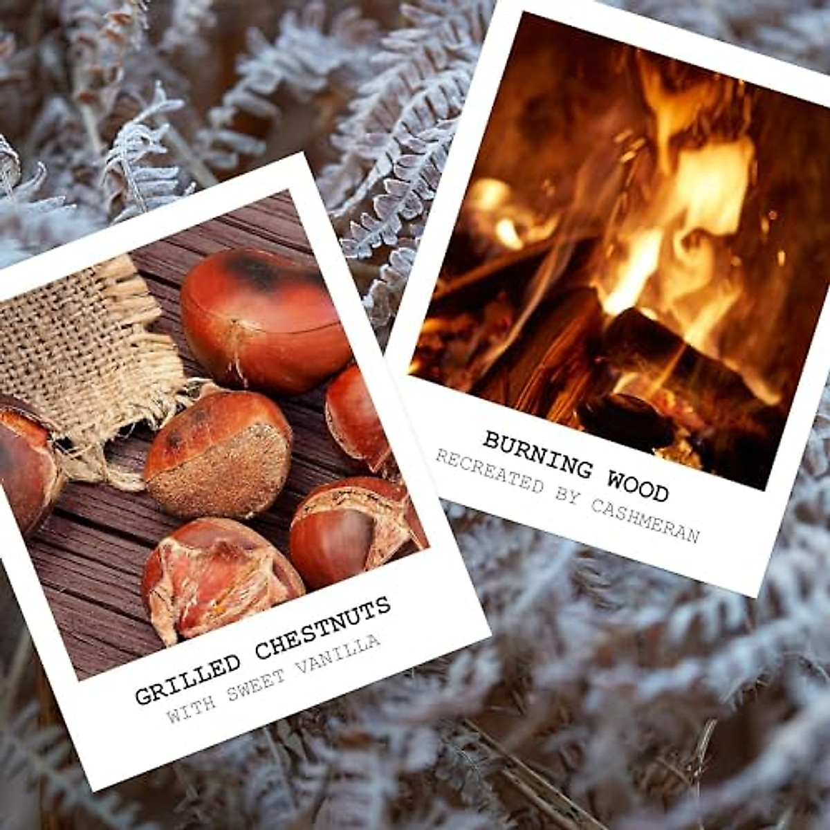 Maison Margiela Replica by the Fireplace Fragrance,3.4 Fl Oz (Pack of 1),MMMNCZ011