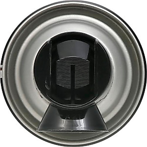 Raid Wasp and Hornet Killer Spray, Kills the entire nest, Kills Paper Wasps, Yellow Jackets, Mud Daubers and more, 14 oz