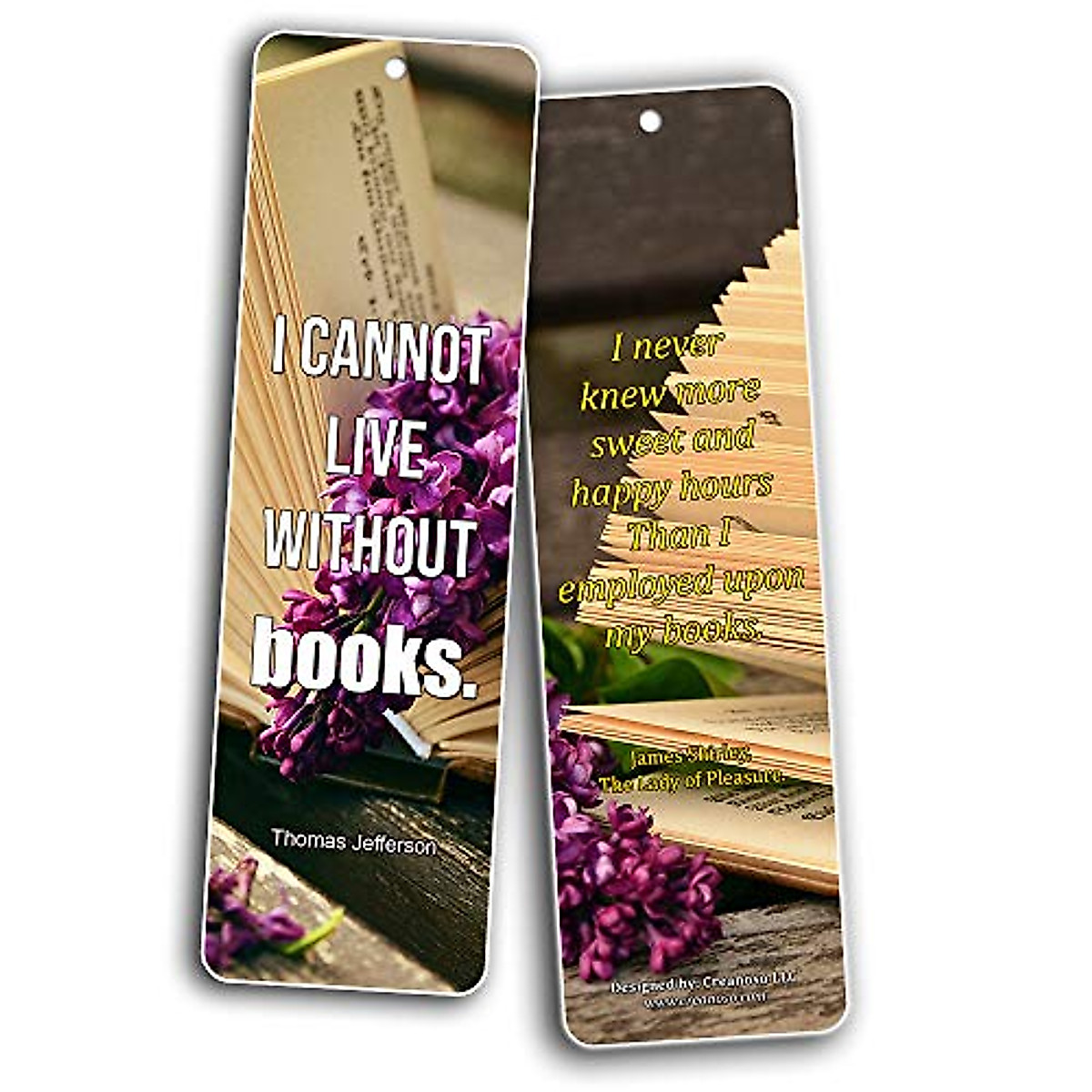 Creanoso Literary Avid Reading Quotes Bookmarker Cards (60-Pack) – Premium Quality Book Reading Bookmarks Design – Premium Gift for Men Women Adult, Bookworm – Awesome Bookmarks