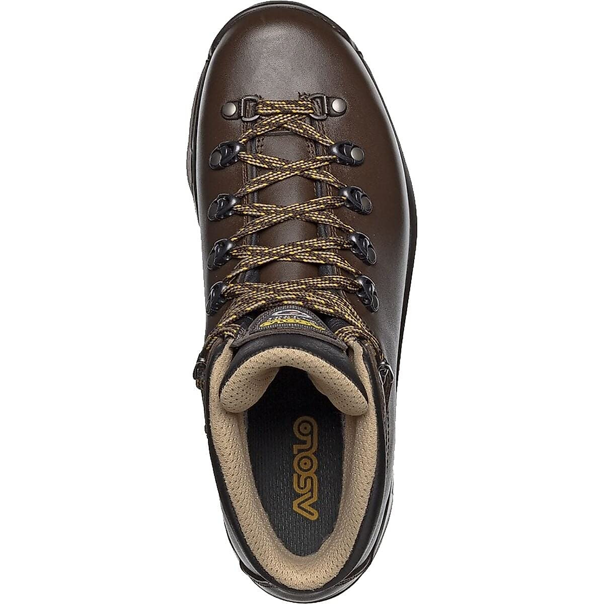 Asolo Women's TPS 520 GV EVO Long Distance, Backpacking, Trekking, Technical Terrian Hiking Boots (Chestnut, 10)