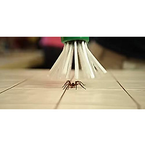 My Critter Catcher Spider and Insect Catcher (Pack of 2)