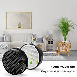 LV-H132 Replacement Filter