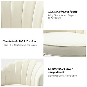 HULALA HOME Velvet Home Office Chair with Gold Base, Womans Modern Cute Shell Back Upholstered Desk Chair for Vanity, Adjustable Swivel Task Chair for Living Room, Ivory Chair for Desk