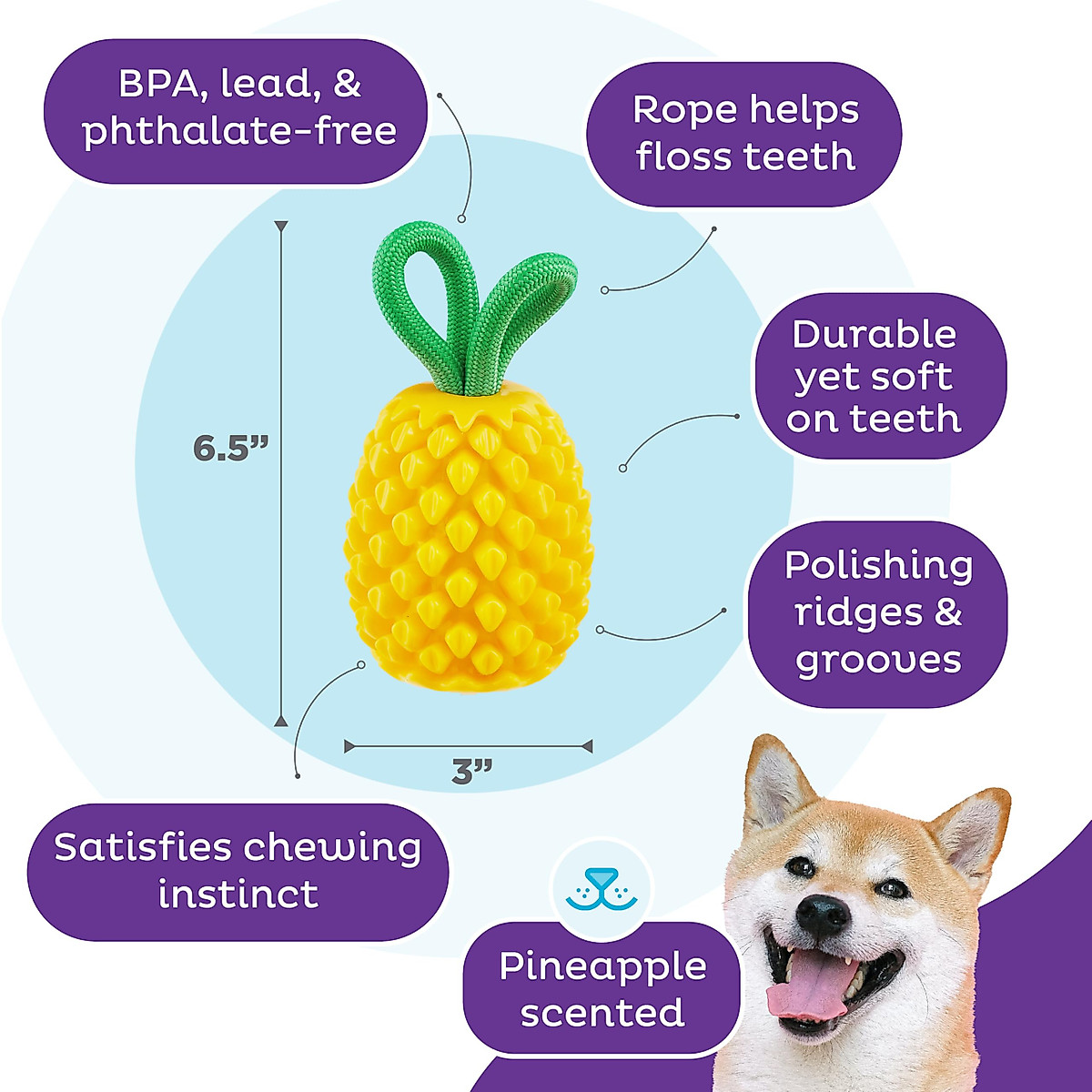 Outward Hound by Planet Dog Dental Pineapple Dental Chew Toy and Interactive Treat Stuffer Durable Dog Toy Stuffable Dog Toy, Yellow