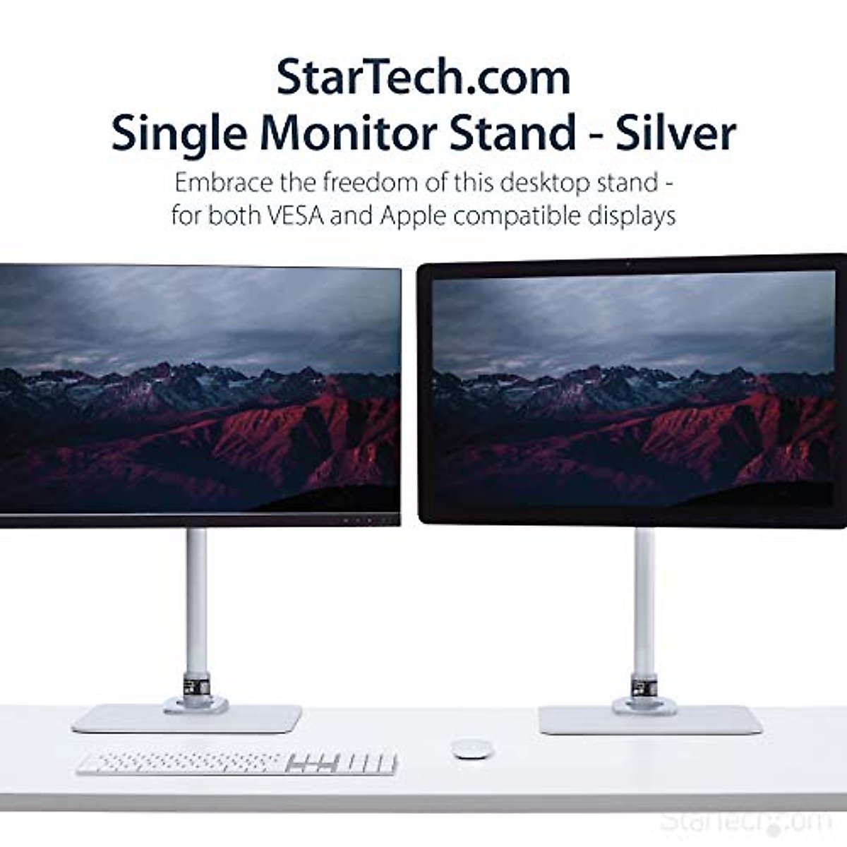 StarTech.com Single Monitor Stand - Adjustable - Supports Monitors 12'' to 34" (30.9lb/14kg) - Premium - Single Screen VESA Monitor Mount Stand - Silver , TAA (ARMPIVSTND)