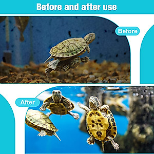 850L/H Turtle Water Filter, 4 in 1 Turtle Tank Filter Reptile Tank Water Filter with Sponge, Bio Balls, 2 Suction Cups and Drain Hose, Submersible Aquarium Filter for Amphibians and Reptiles Frog