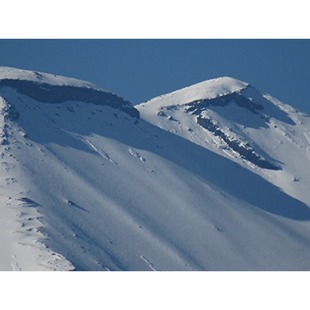 Canon digital camera PowerShot (power shot) SX530 HS PSSX530HS - International Version (No Warranty)