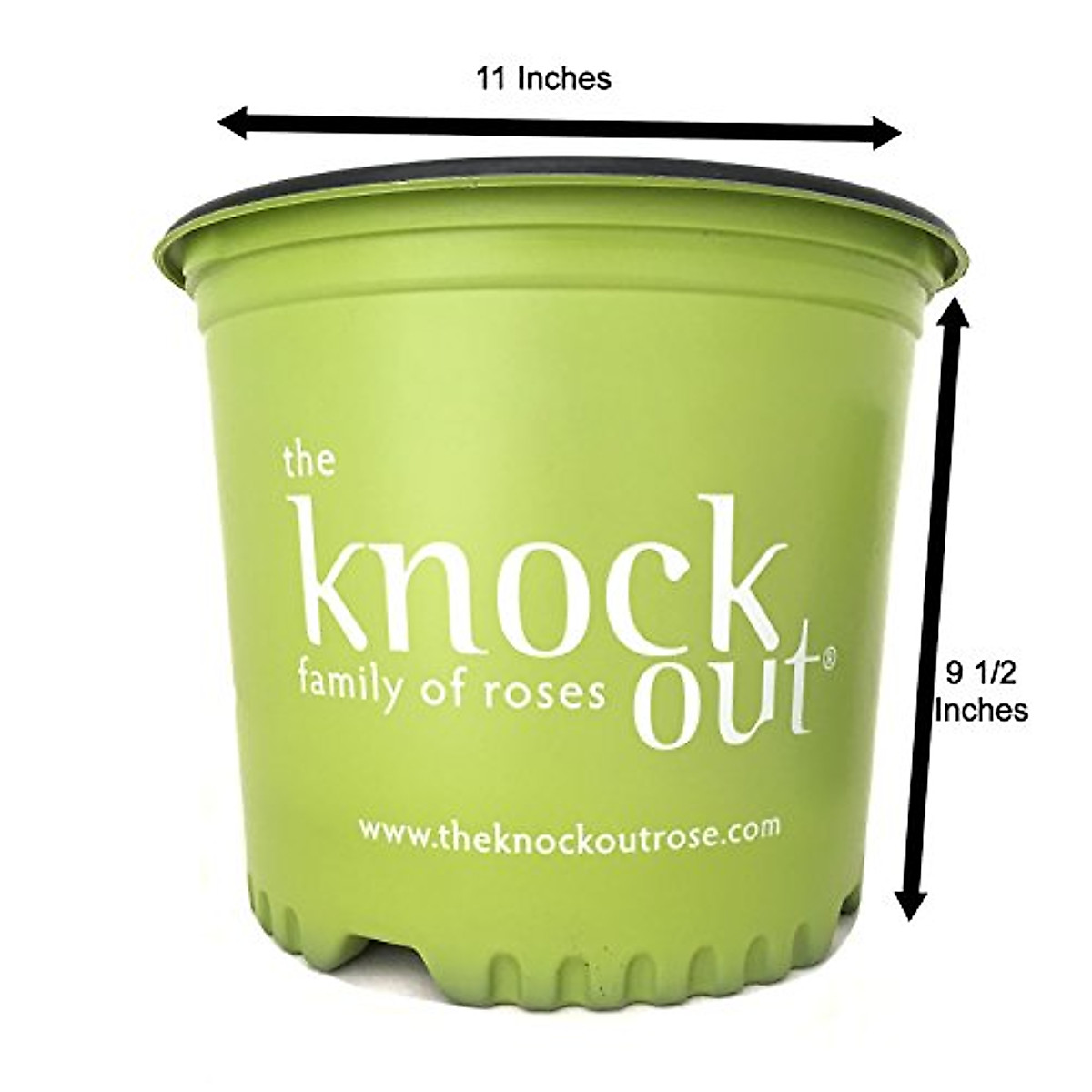 Star Roses Knockout Series 11892 Star Series Roses Knock Out, 3 Gallon, Sunny Knockout