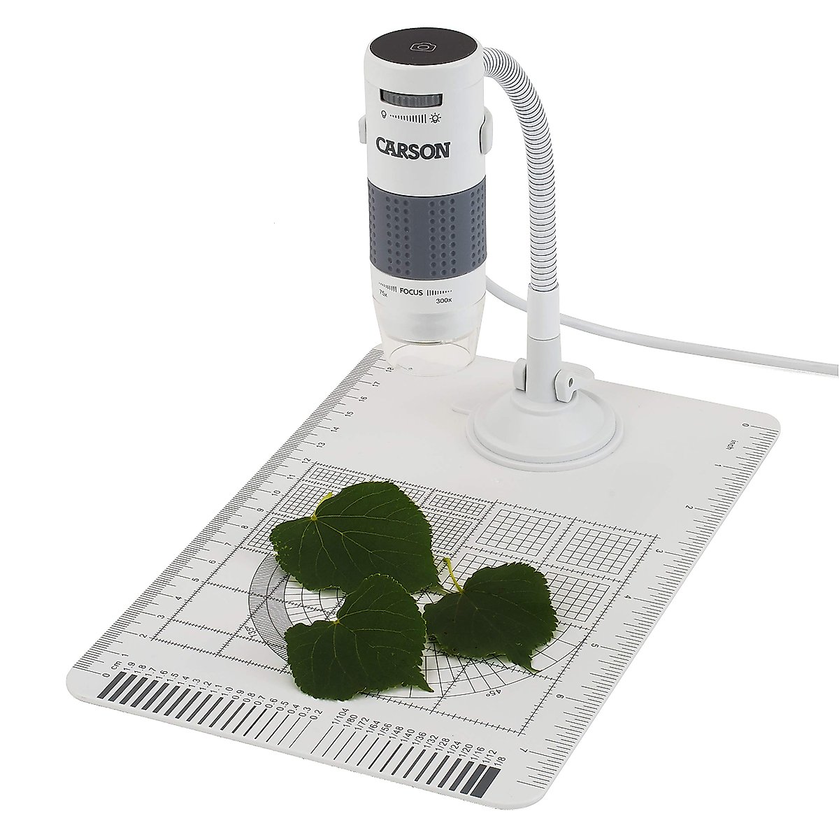 Carson eFlex 78x/324x Effective Magnification (Based on a 27" monitor) LED Lighted USB Digital Microscope with Flexible Stand and Base (MM-840) , White