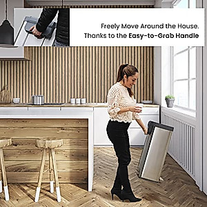 Home Zone Living 18.5 Gallon Kitchen Trash Can, Tall Stainless Steel Liner-Free Body, 70 Liter Capacity, Silver, Virtuoso Series