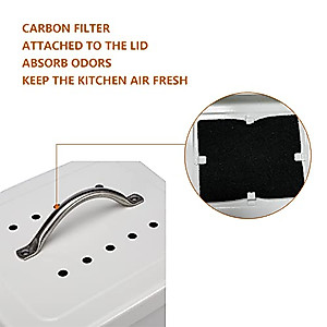 ayacatz Stainless Steel Compost Bin for Kitchen Countertop Compost Bin，1 Gallon, Kitchen Trash Can -Includes Charcoal Filter，Compost Bucket Kitchen Pail Compost with Lid -White