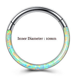 Uzgtvy Septum Ring Jewelry 16G Stainless Sugical Steel Septum Hinged Segment Seamless Clicker Nose Nostril Ring Belly Button Hoop Daith Rook Cartilage Helix Tragus Earring Piercing Jewerly Women Men