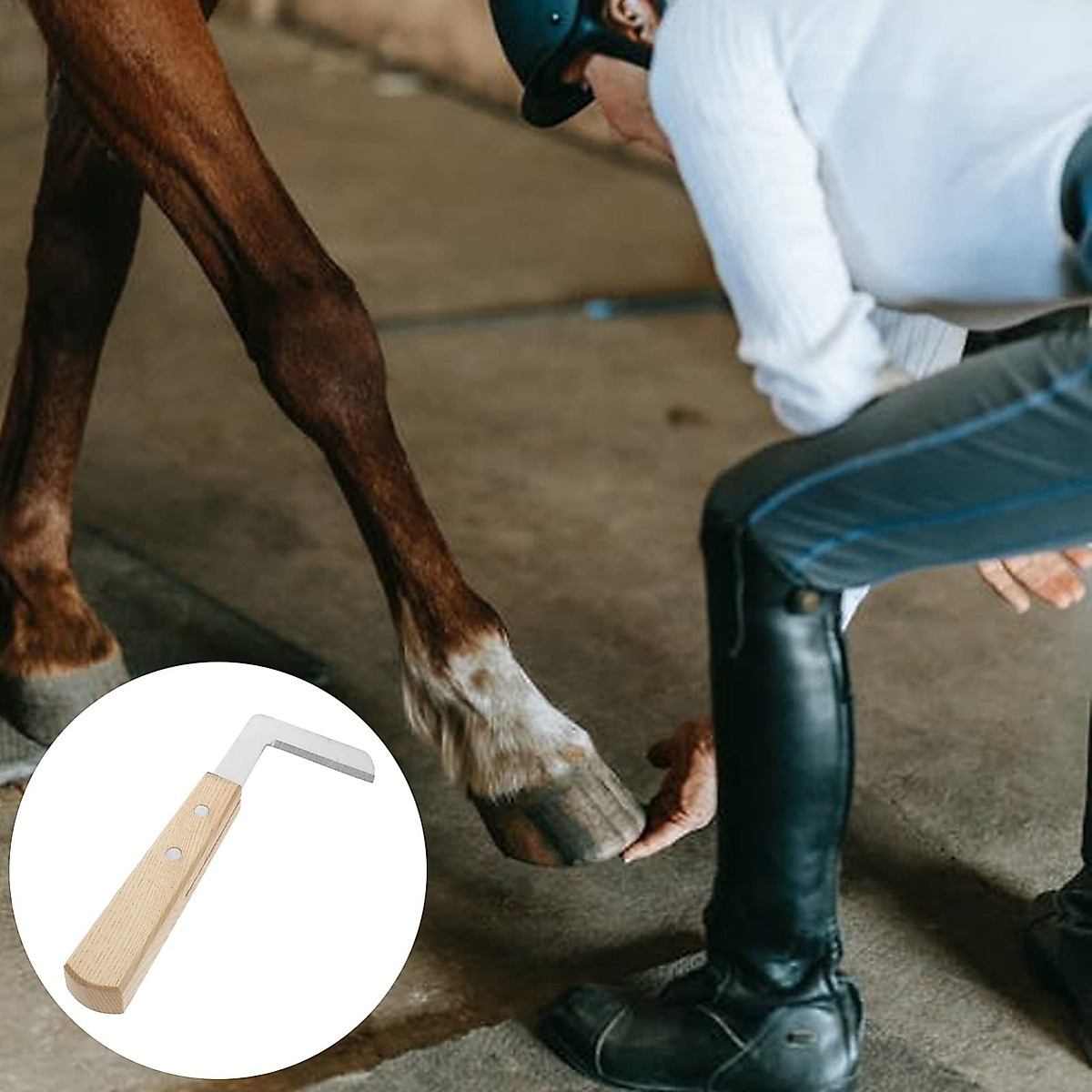 Happyyami Hoof Trimmer Portable Horse Shoeing Tool Horseshoe Repairing Cutter Stainless Steel Horseshoe File Animal Foot Pruning Tool Hoof Repair Tool Horseshoe Cutting Tool Shoeing Tools