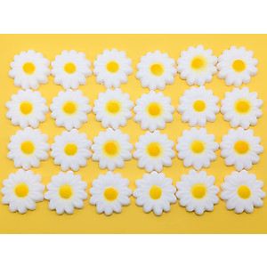 24pk White Daisies Sugar Decoration Toppers for Cakes Cupcakes Cake Pops