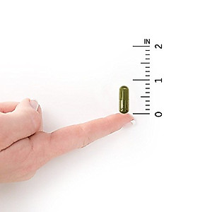 Garden of Life Vitamin D, Vitamin Code Raw D3, Vitamin D 2,000 IU, Raw Whole Food Vitamin D Supplements with Chlorella, Fruit, Veggies & Probiotics for Bone & Immune Health, 120 Vegetarian Capsules