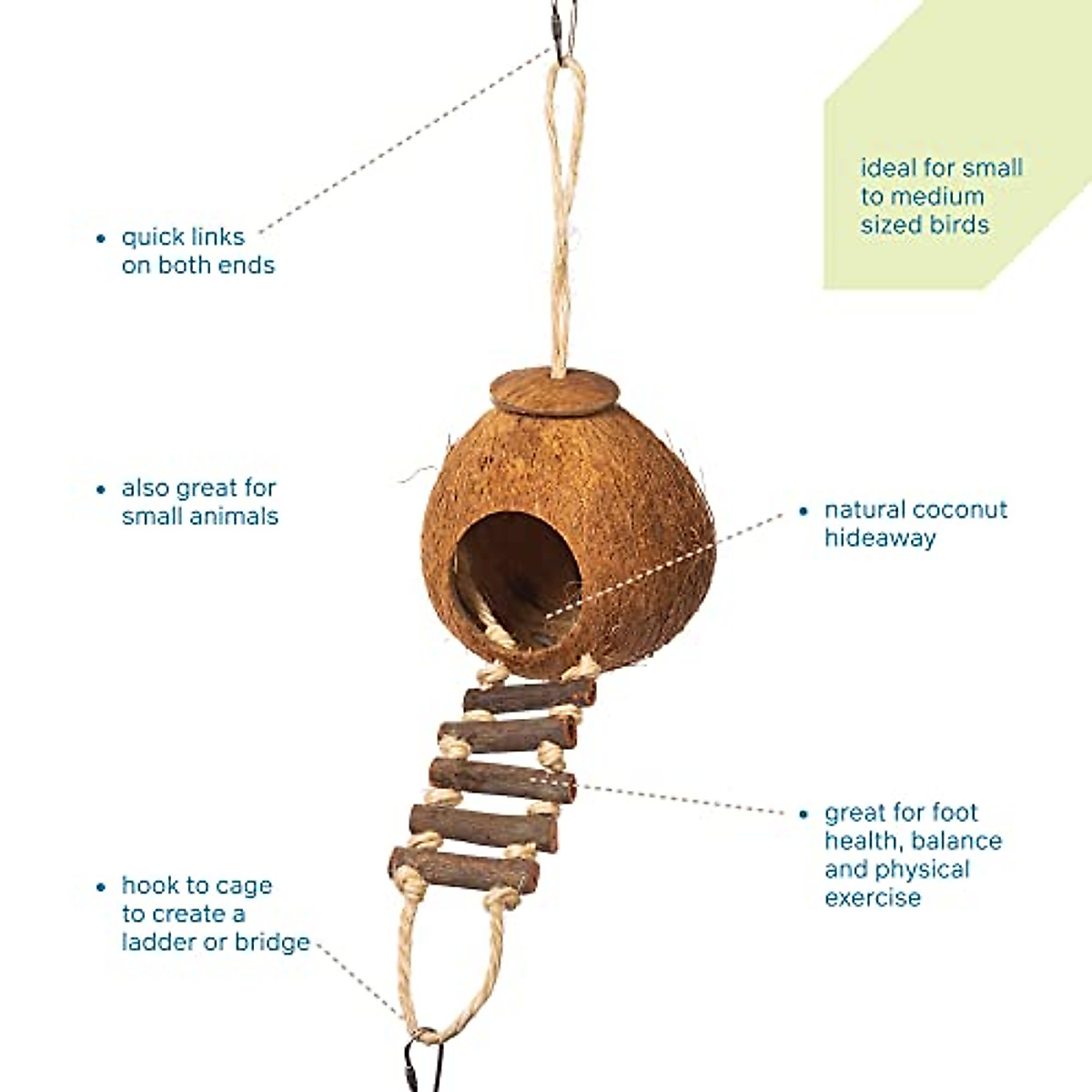 Prevue Hendryx 62801 Naturals Coco Hideaway with Ladder Bird Toy,1 Count (Pack of 1)