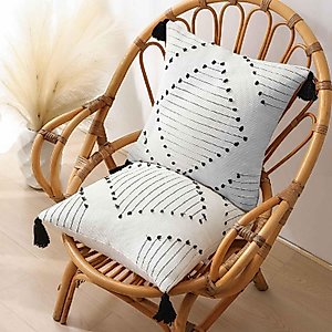 Joyesup Boho Throw Pillow Covers 18x18 Set of 2 Farmhouse Pillow Covers with Tassel Decorative Throw Pillow Cases Room Decor Woven Pillow Covers for Couch Bed Living Room Dormitory(White and Black)