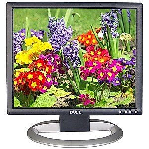 17" Dell 1704FPVT DVI LCD Monitor w/USB Hub (Black/Silver)