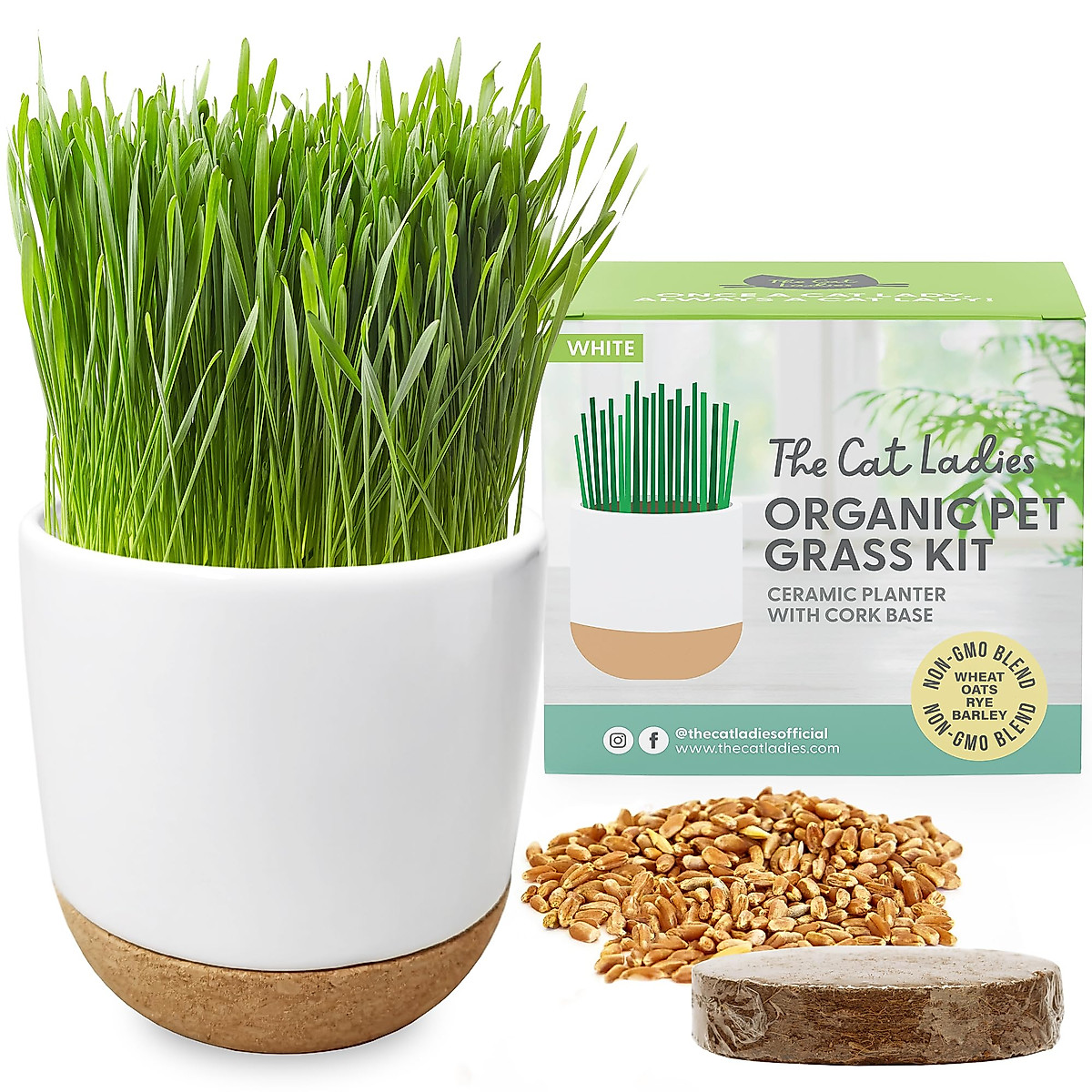 The Cat Ladies Cat Grass for Indoor Cats Kit with Organic Cat Grass Seed Mix, Soil and Ceramic & Cork Planter, Natural Hairball Remedy
