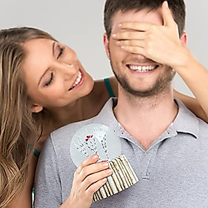 Cardinal Snow Globe, Red Bird Snowglobe Animal Snow Flake Glass Snow Globes for Adults Men Birthday, 100MM Valentines Day Snow Globe