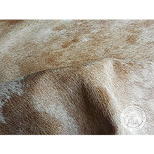 Genuine Palomino White and Beige Cowhide Rug 6 x 7-8 ft. 180 x 240 cm