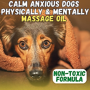 Kelebs Dog Joint Supplement Massage Oil | Pain Relief for Dogs | Dog Hip and Joint Supplement | Dog Arthritis Pain Relief | Active & Senior Dog Supplements | Organic Blend Essential Oils with Arnica