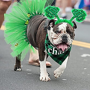 6 Pcs Dog St Patrick's Day Costume Pet Green Shamrock Headbands Dog Tutu Skirts and Buffalo Plaid Pet Bandanas Dog Dress Tutu Clover Headbands for St. Patrick's Day Pets Dogs Accessories Photo Props