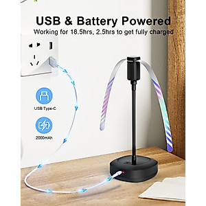 Edvision 2 Pack Food Fan for Table, 2000mAh USB Powered Rechargeable Food Fan, Portable Fan with Flexible Goose-Neck and Soft Blades, Quiet Table Food Spinner for BBQ, Picnic, Patio, Parties, Outdoor