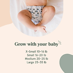 LA PETITE OURSE 2 One-Size Reusable Pocket Diapers with 4 Diaper Inserts, 1 Wet Bag and 1 Diaper Liner Roll (100 Sheets) per - The Perfect Trial Kit - Laziness