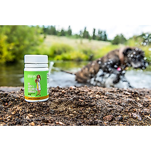 New Zealand Deer Velvet Wellness Formula for Dogs & Cats