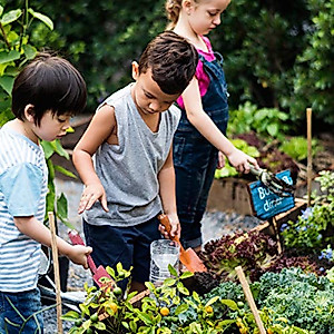 Mini Colorful Trowel Metal Garden Hand Shovels, 5 pcs Garden Tools for Kids Teens Adults Soil Planting Sand Box