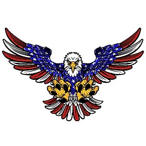 Rogue River Tactical Large 10"x6" American Eagle USA Flag Car Decal Window Die Cut Patriotic Auto Bumper Sticker Vinyl Decal for Car Truck RV SUV Boat Support US Military