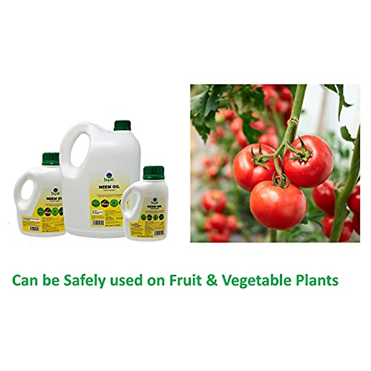 Deepthi Pure Neem Oil for Plants - Concentrated - Cold Pressed - Spray for Indoor Outdoor Garden - 100% Neem Oil – Controls Mildew - 33.8 Fluid Oz (1000 ml)