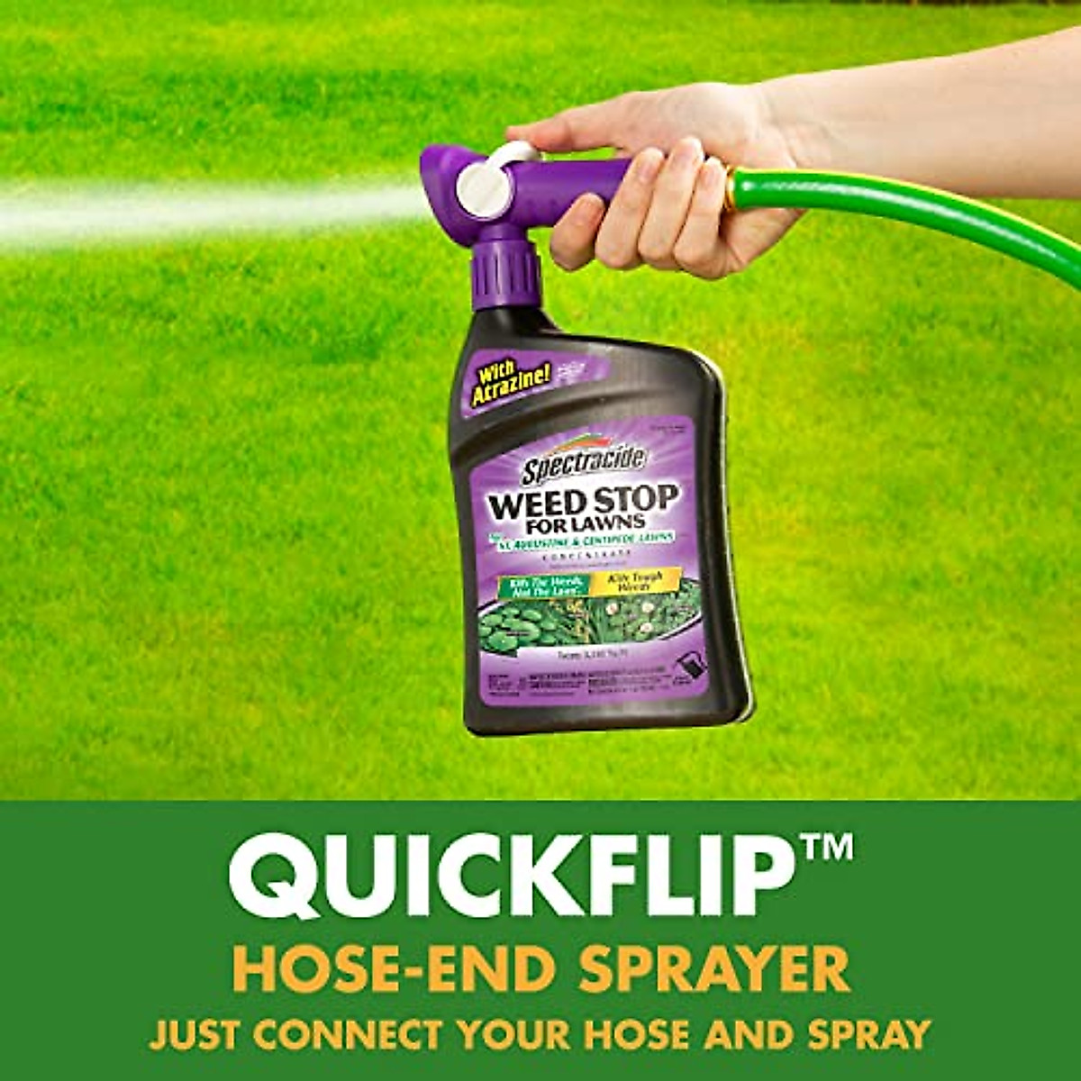 Spectracide Weed Stop For Lawns For St. Augustine & Centipede Lawns Concentrate, Ready-to-Spray, 32-Ounce, 6-Pack, Clear