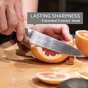 Hast Edition 5-Inch Utility Knife, Ultra-Sharp Professional Small Kitchen Knife, Patented Powder Steel, Lightweight, Comfortable Ergonomic & Award-Winning Design,Premium Small Knife (Glossy Stainless)