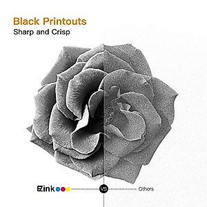 E-Z Ink (TM) Compatible Toner Cartridge Replacement for Dell 1250 810WH High Yield to use with C1760nw C1765nf C1765nfw 1250 1250c 1350cnw 1355cn 1355cnw Laser Printer (Black, 2 Pack)