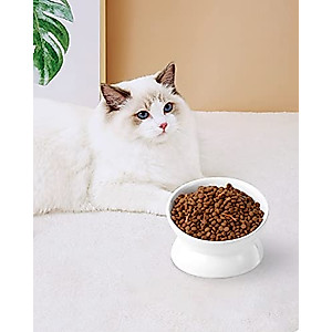 LoeJan Elevated Cat Food Bowl, 5 Oz Ceramic Raised and Tilted Water Bowl, Anti Vomiting and Protect Pets' Spines Dishes for Small Dog, Fat Faced Cat, Kitten (White, 1 Pack)