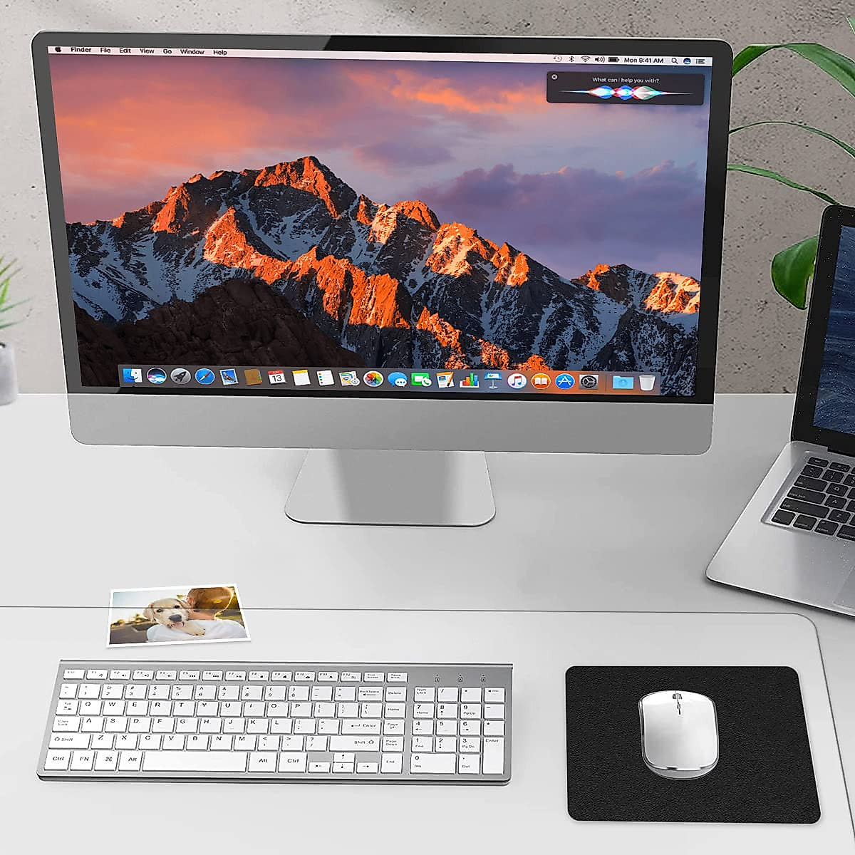 ProValley Clear Desk Pad Blotter 16 × 32 Inches Transparent Plastic Desk Mat 1.5mm Thick Rectangular PVC Desk Cover Vinyl Table Protector for Office Computer Writing Desk Tabletop Dresser Night Stand