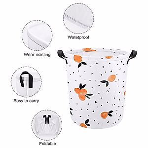 RENJUNDUN Clothes Basket Laundry Hamper with Handles Clementine And Dots on White Storage Organizer Perfect for Kids Boys Girls Toys Room, Bedroom, Nursery,Home,Gift Basket, 17.3 Inch H x 16.5 D